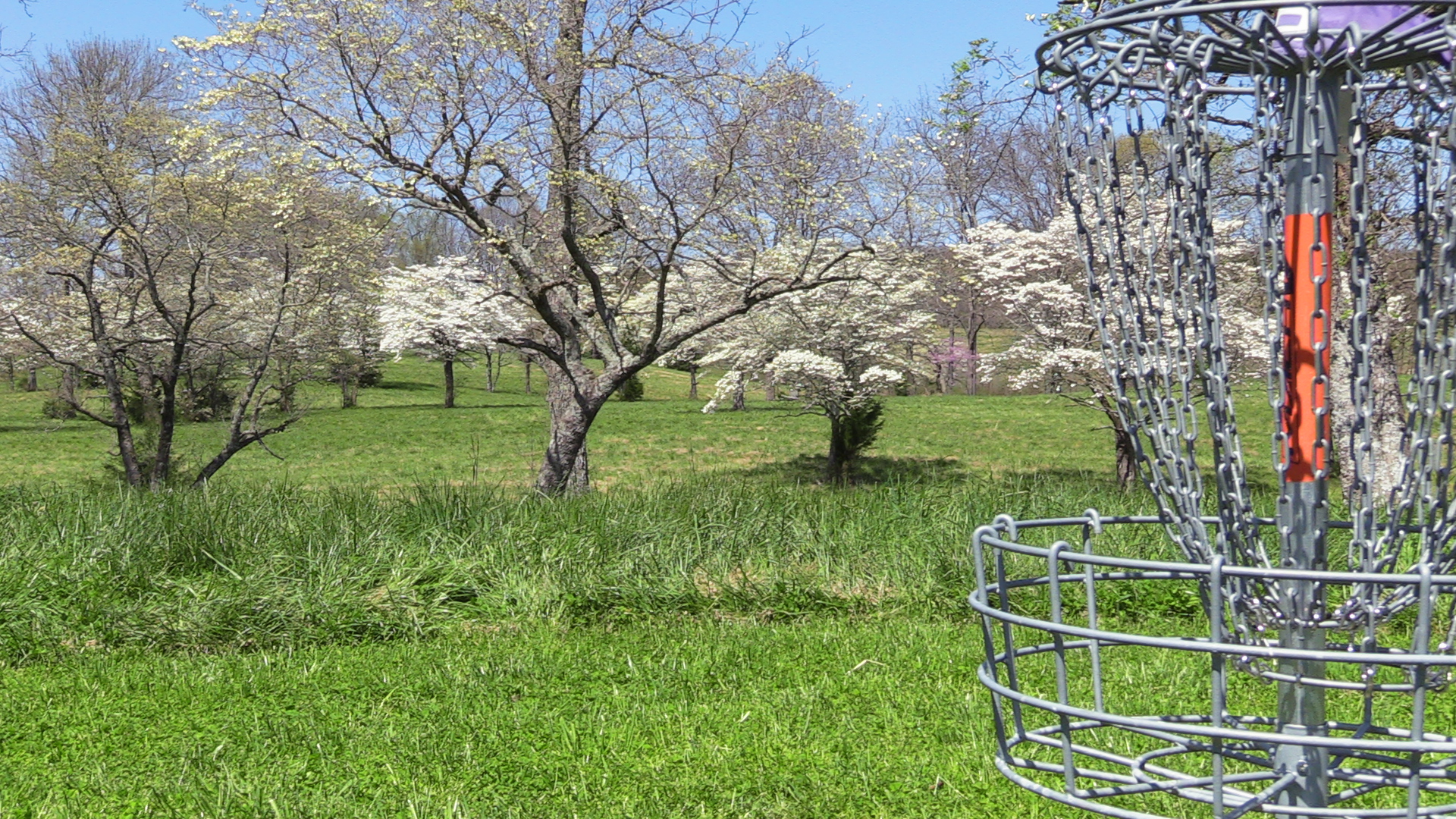 Wilderness Disc Golf - Walker County, GA - Official Government Site